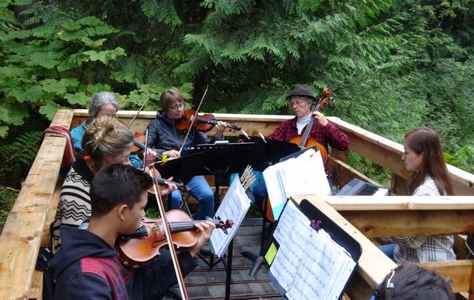 Ancient Forest: Music in the Woods